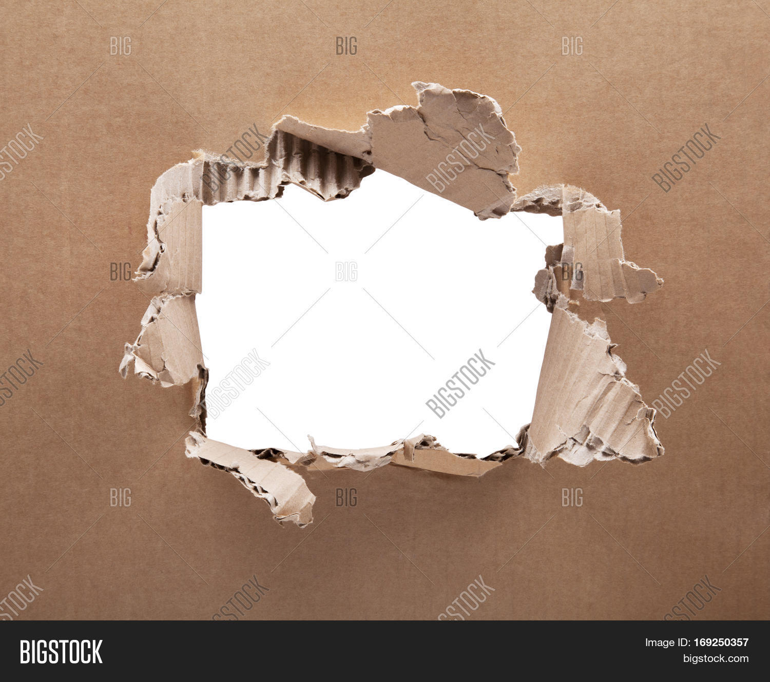 Ripped Hole Cardboard Image & Photo (Free Trial) | Bigstock