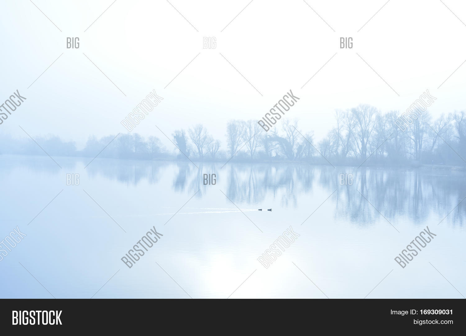 Fog Over Lake Swimming Image & Photo (Free Trial) | Bigstock