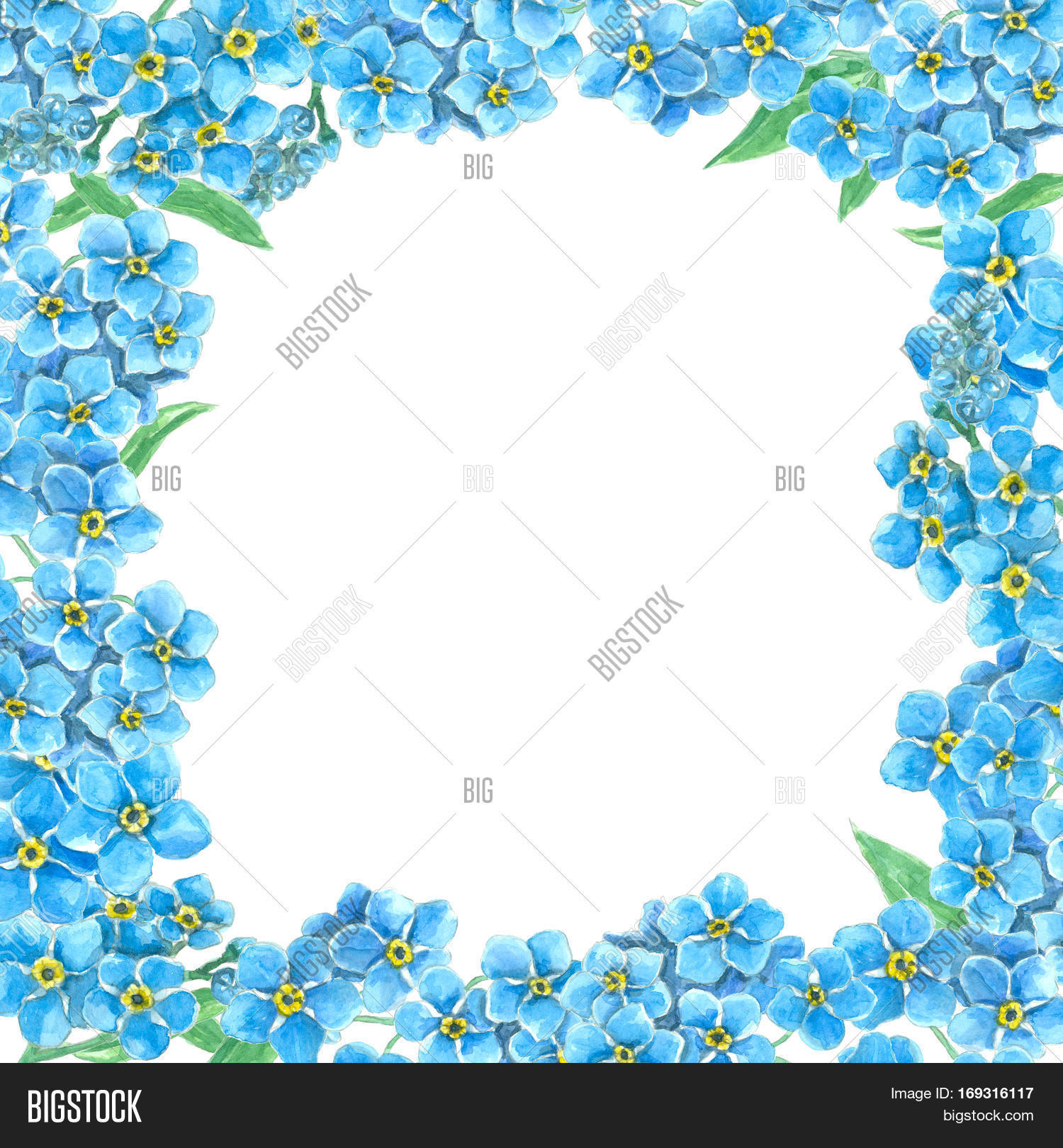 Forget Me Not Frame Image & Photo (Free Trial) | Bigstock