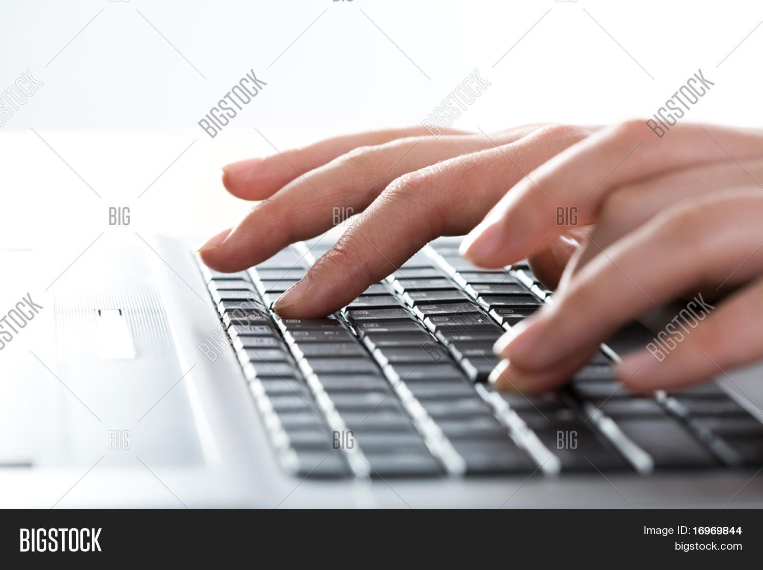 Female Hands Typing On Image & Photo (Free Trial) | Bigstock