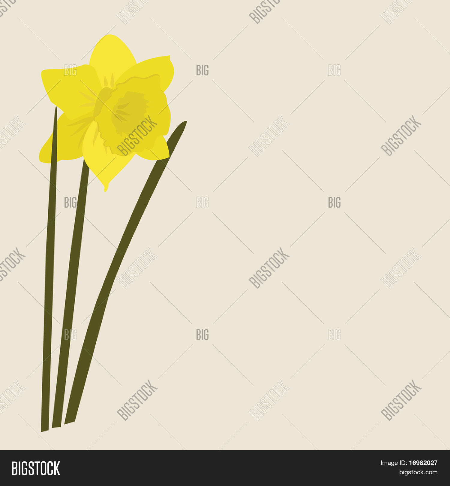 Daffodil. Vector Vector & Photo (Free Trial) | Bigstock