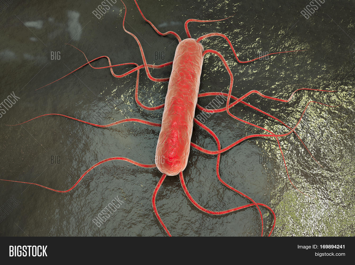 3D Illustration Image & Photo (Free Trial) | Bigstock