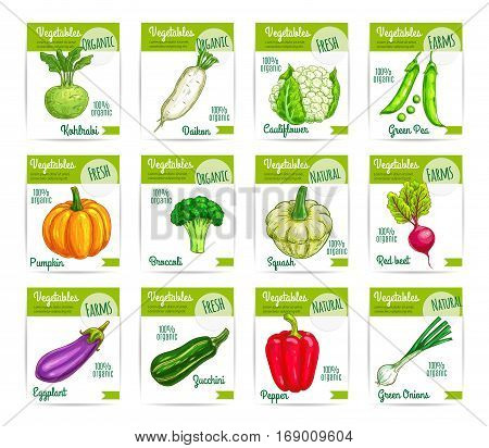 Veggies Vegetables Vector & Photo (Free Trial) | Bigstock