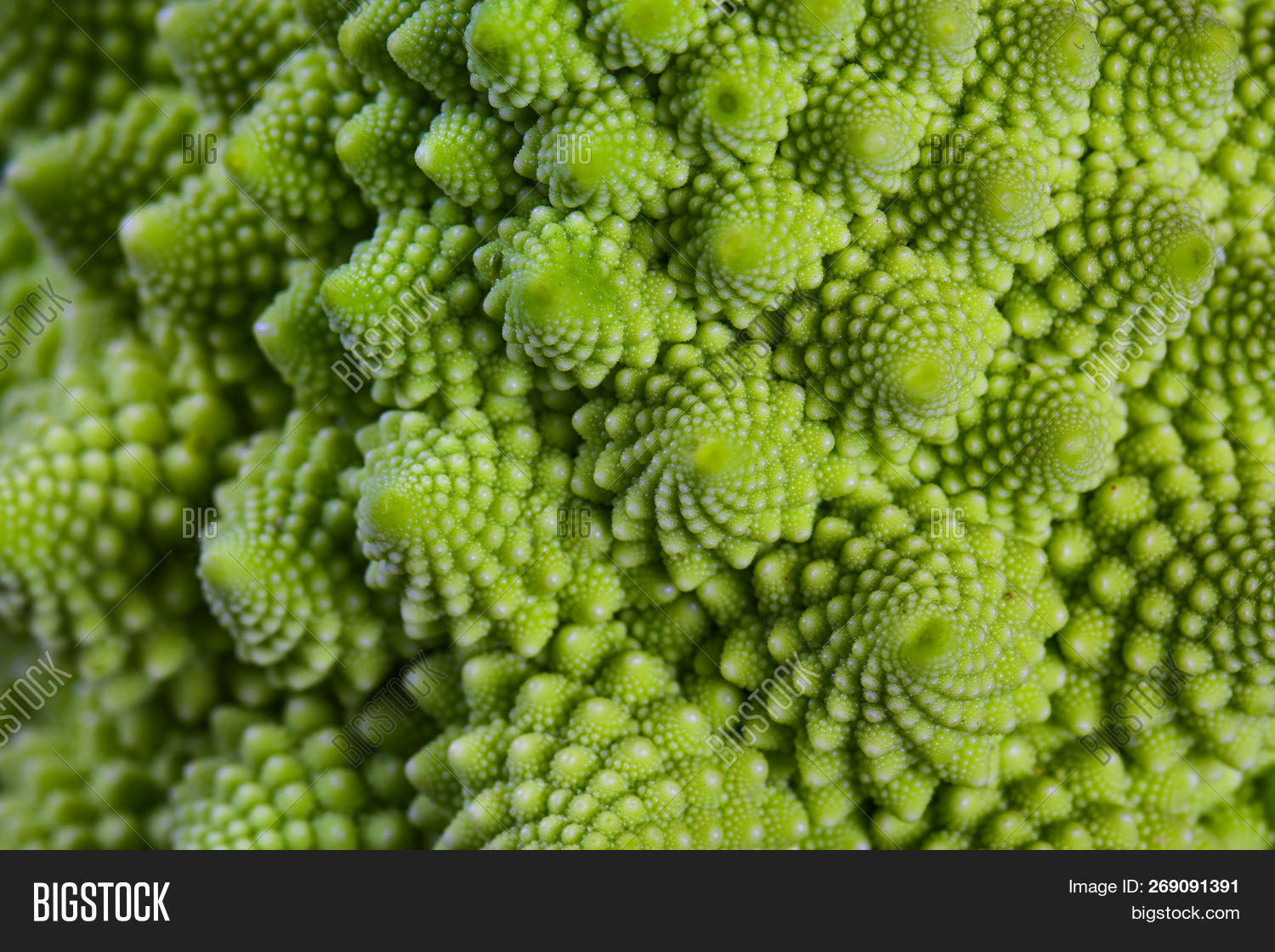 Romanesco Broccoli Image & Photo (Free Trial) | Bigstock