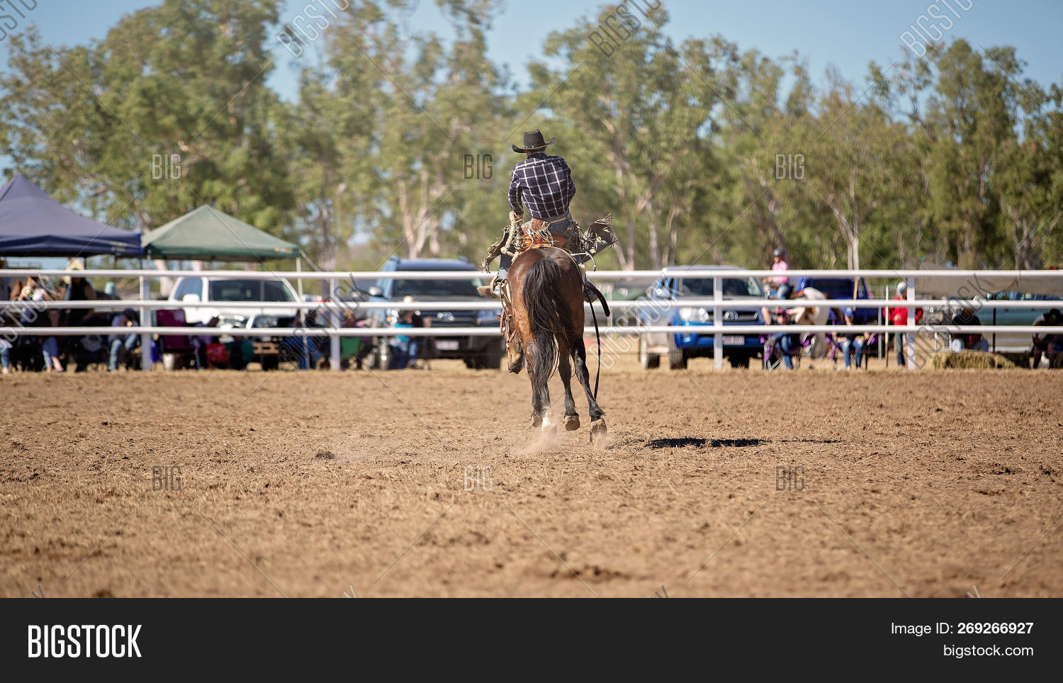 Cowboy Rides Wildly Image & Photo (Free Trial) | Bigstock