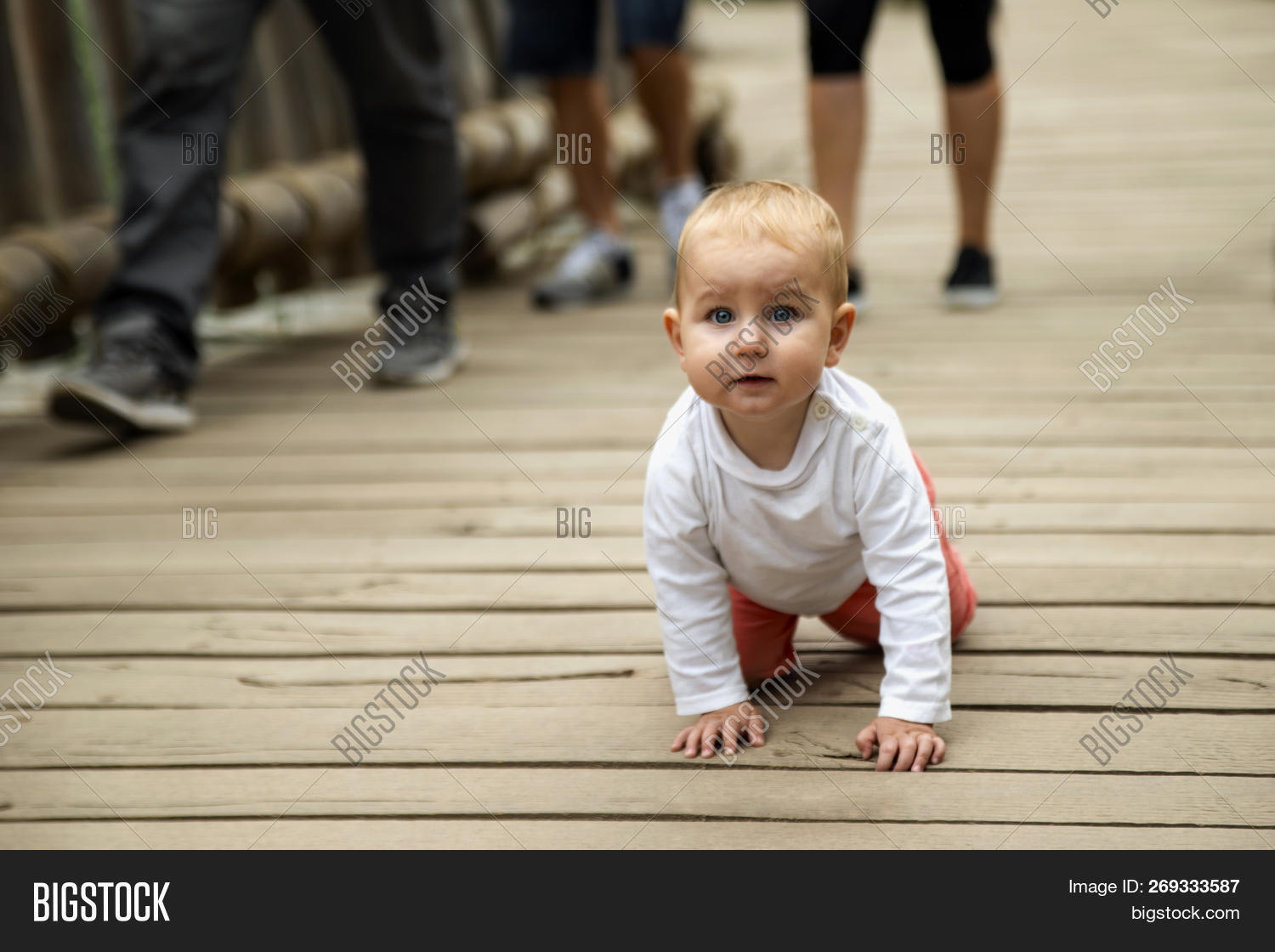 Defenseless Little Image & Photo (Free Trial) | Bigstock