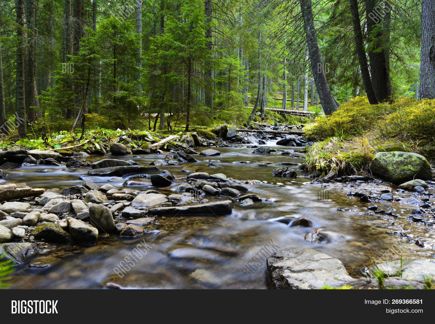 Mountain River Flowing Image & Photo (Free Trial) | Bigstock