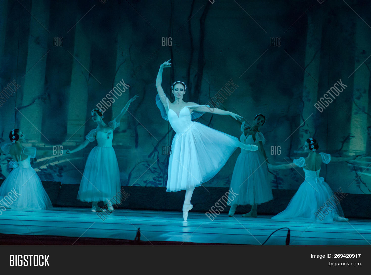 Classical Ballet Image & Photo (Free Trial) | Bigstock