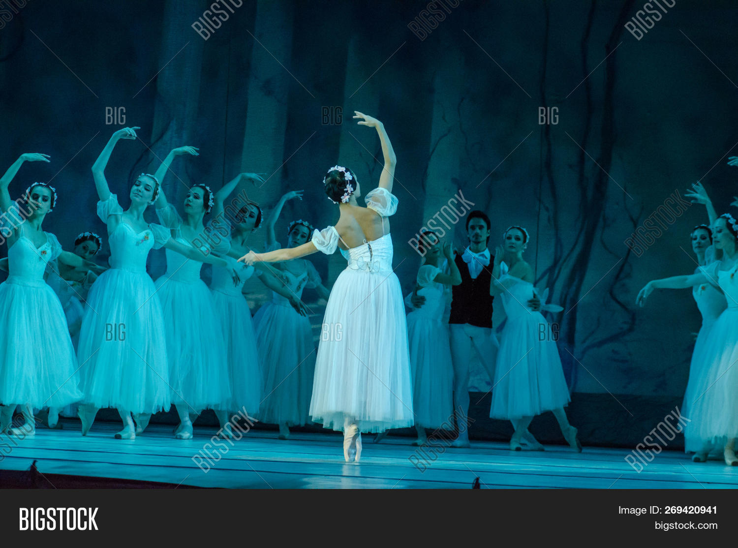 Classical Ballet Image & Photo (Free Trial) | Bigstock