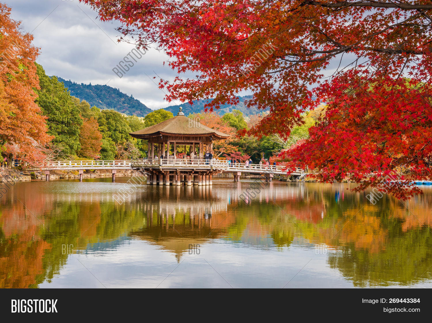Nara, Japan - November Image & Photo (Free Trial) | Bigstock