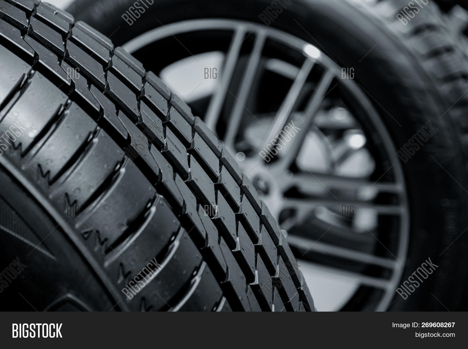 Black White Close Image & Photo (Free Trial) | Bigstock