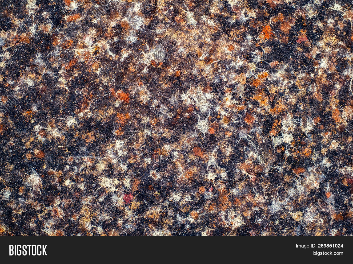 Birds Poop Droppings Image & Photo (Free Trial) | Bigstock