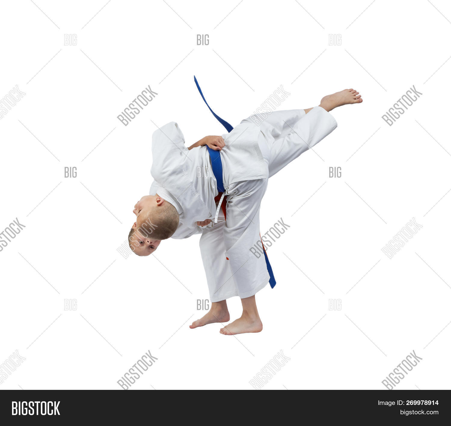 Judo Throws Perfoming Image & Photo (Free Trial) | Bigstock
