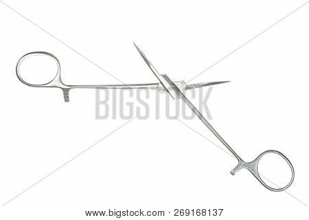 Pean Clamp Close- On Image & Photo (Free Trial) | Bigstock