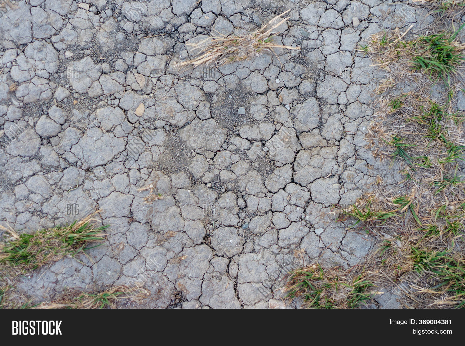Dry Land Cracked Earth Image & Photo (Free Trial) | Bigstock