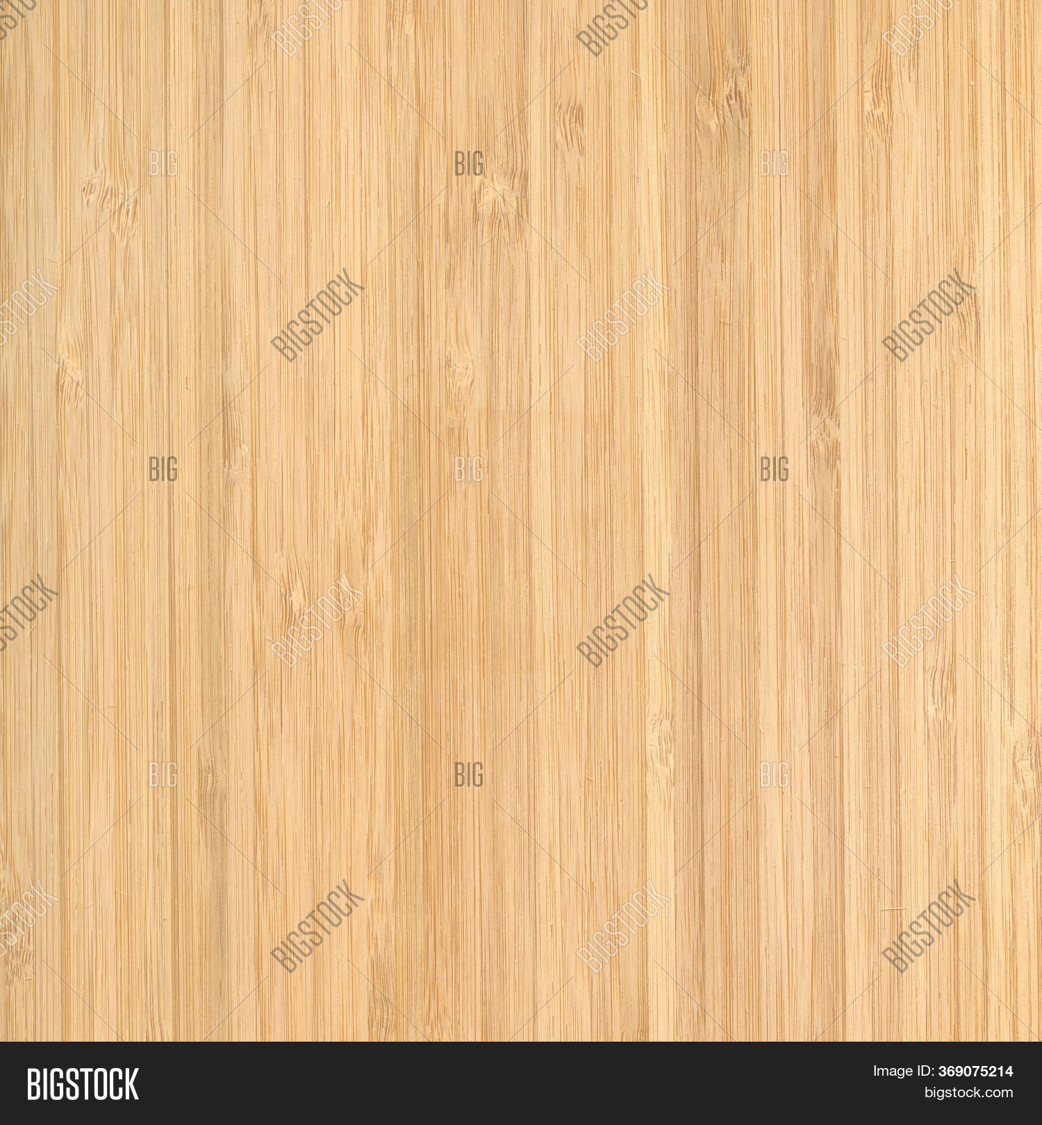 Clean Light Pine Wood Image & Photo (Free Trial) | Bigstock