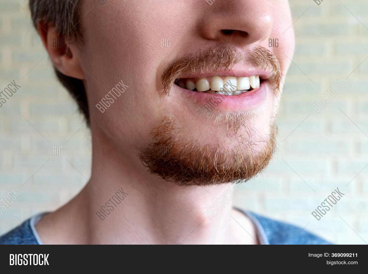 Bearded Man Red Beard Image & Photo (Free Trial) | Bigstock