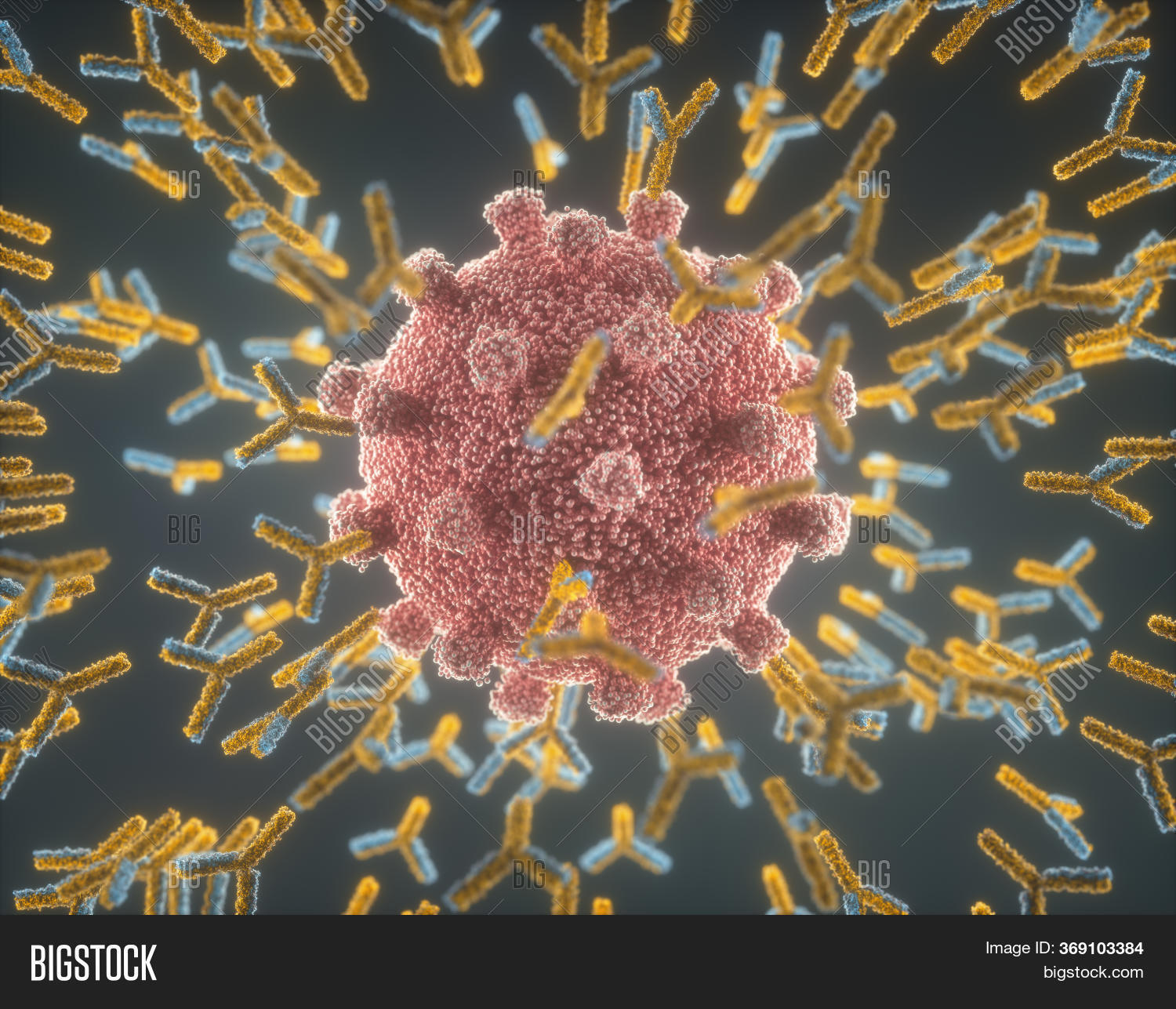 Immunological System, Image & Photo (Free Trial) | Bigstock