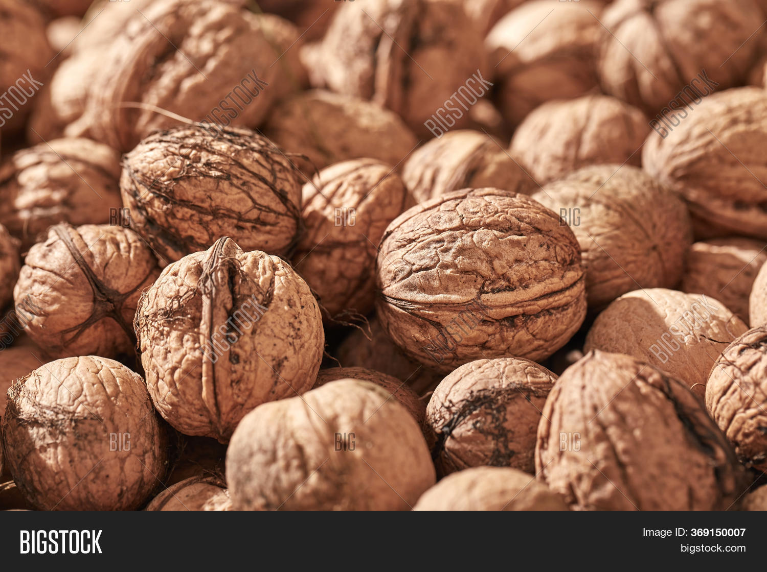 Big Pile Walnuts Close Image & Photo (Free Trial) | Bigstock