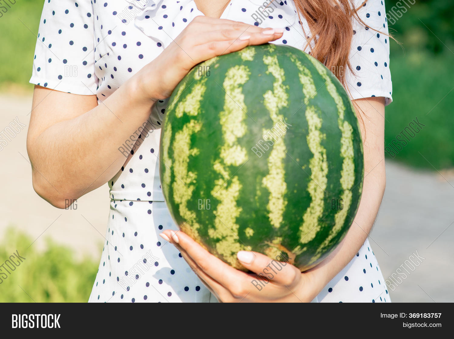 Whole Watermelon Close Image & Photo (Free Trial) | Bigstock