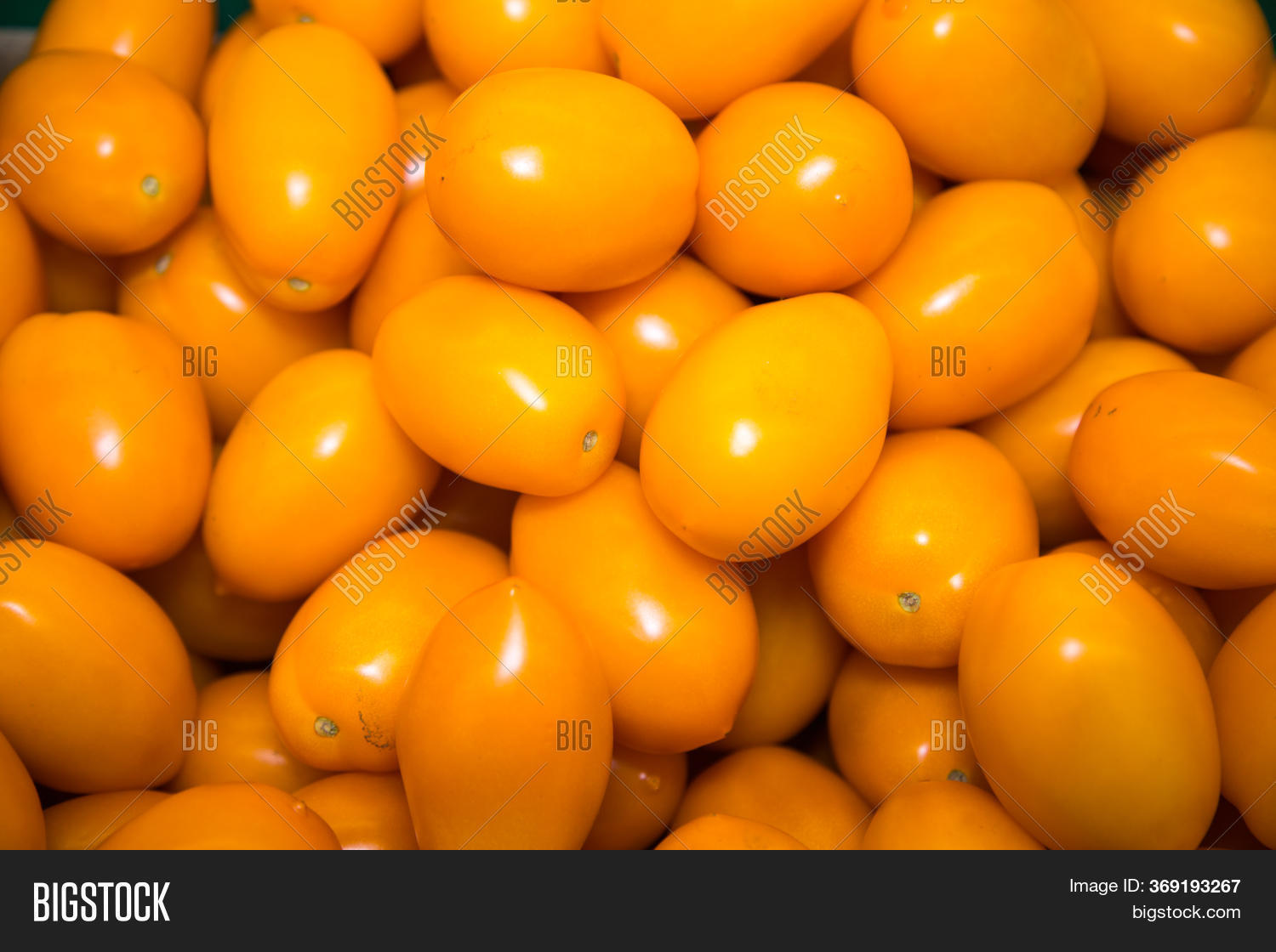 Fresh Bright Plum- Image & Photo (Free Trial) | Bigstock