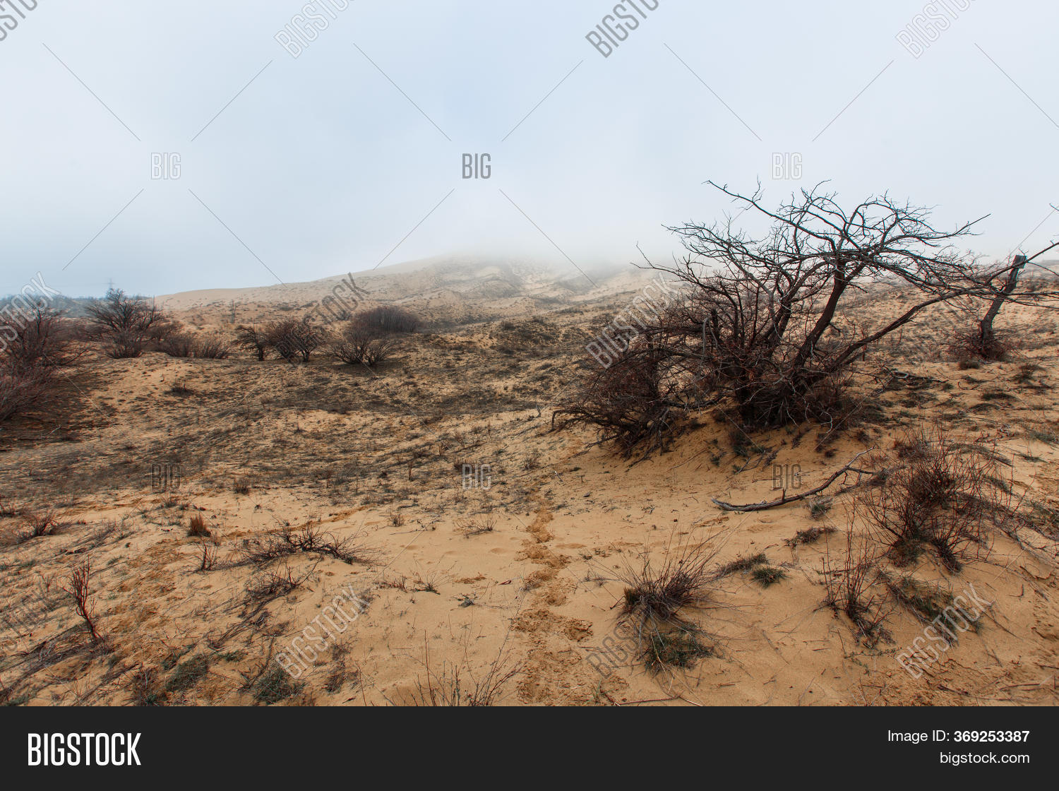 Barkhan Sarykum. Image & Photo (Free Trial) | Bigstock