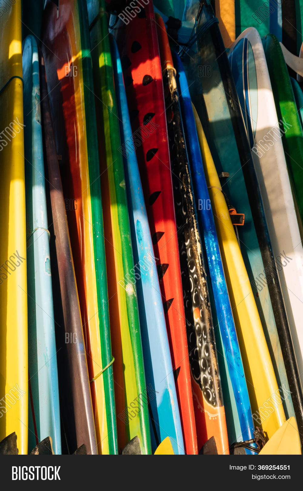 Set Different Color Image & Photo (Free Trial) | Bigstock