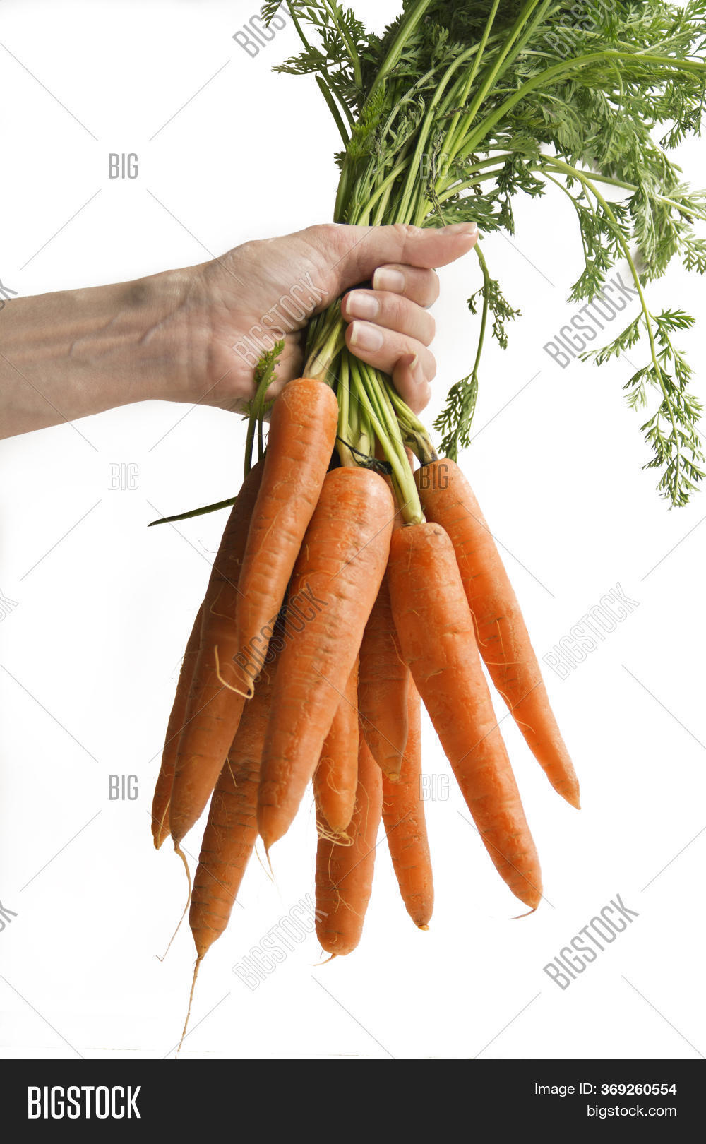Hands Holding Carrots Image & Photo (Free Trial) | Bigstock