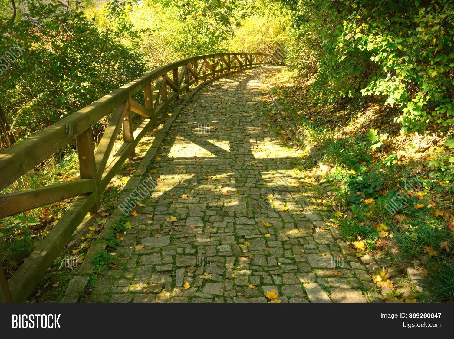 Stone Paved Path Image & Photo (Free Trial) | Bigstock