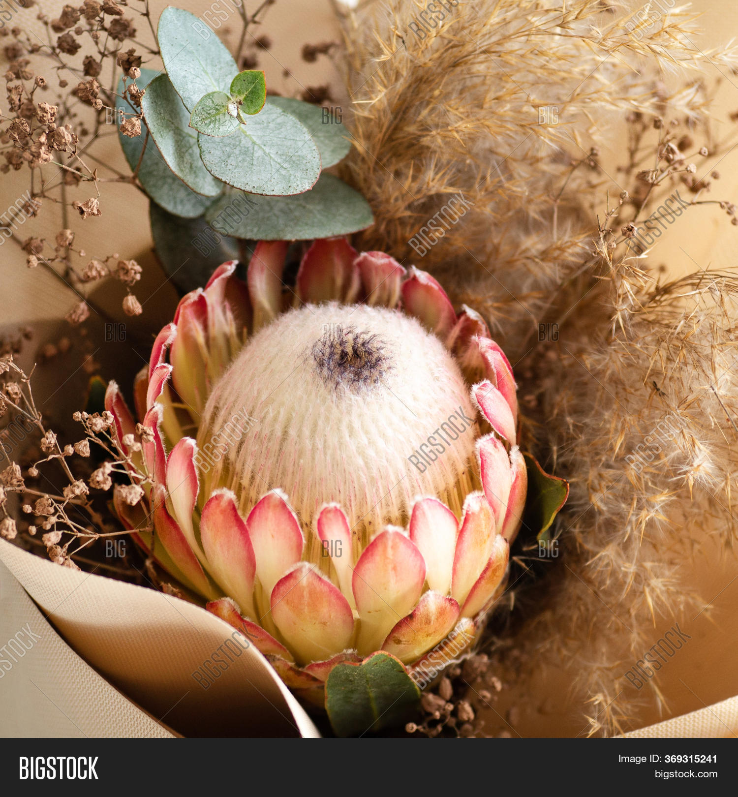 Protea Flowers Bunch. Image & Photo (Free Trial) | Bigstock