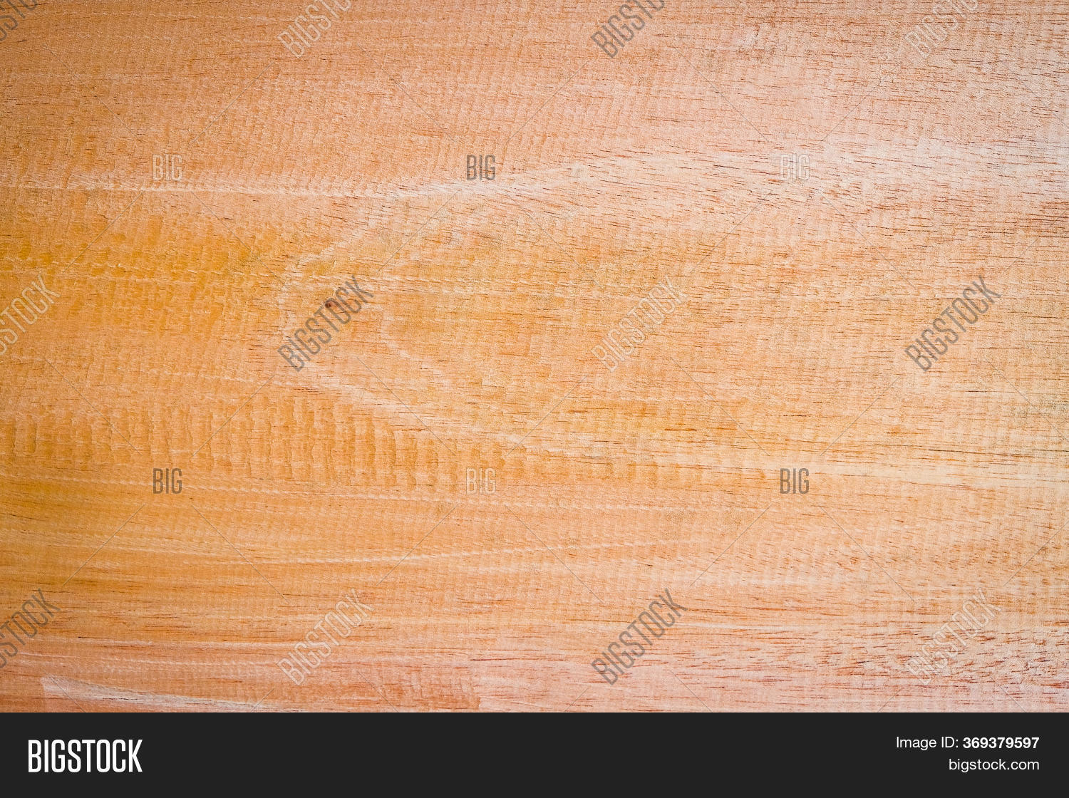 Empty Large Hardwood Image & Photo (Free Trial) | Bigstock
