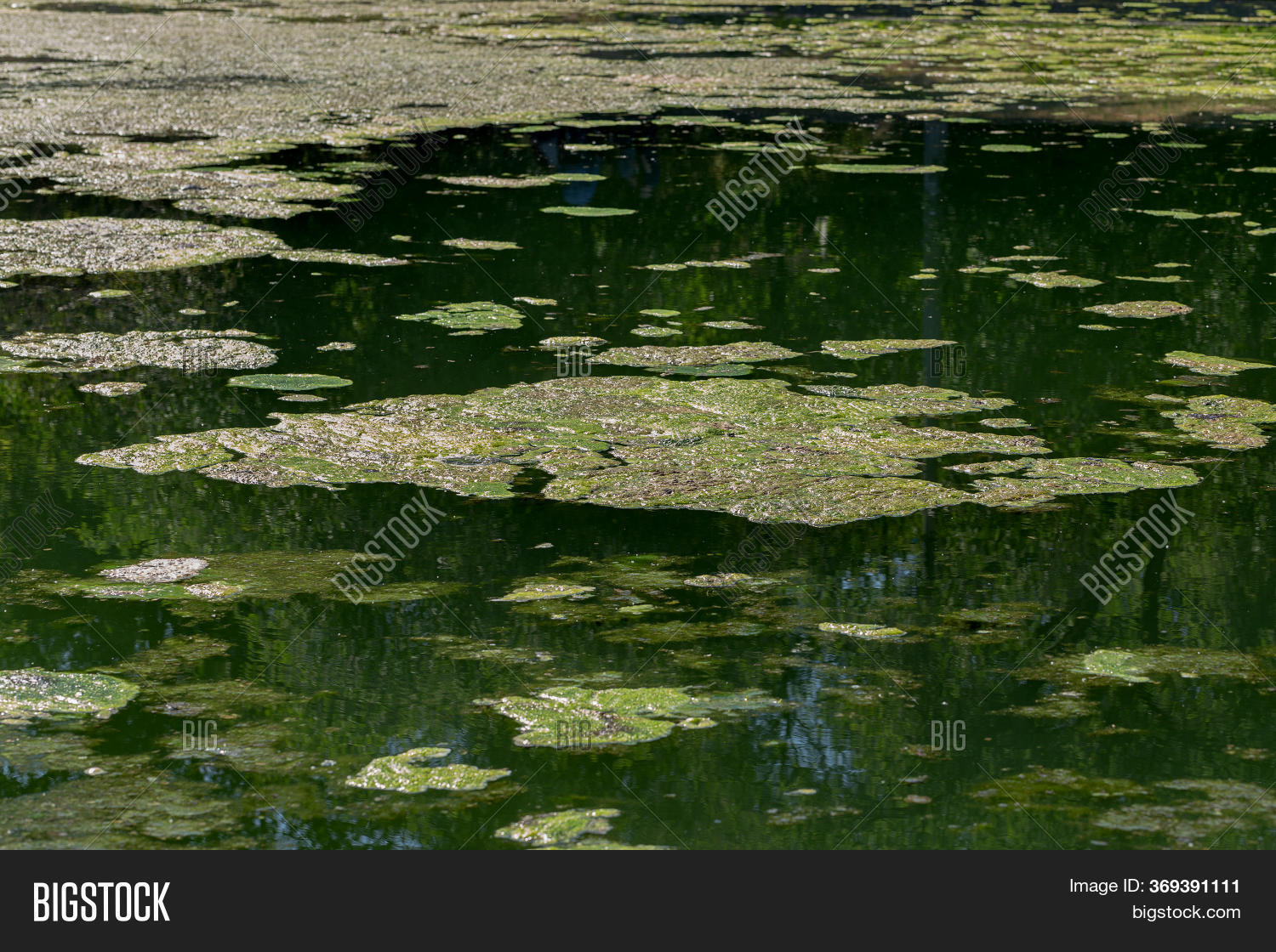 Large Amount Debris Image & Photo (Free Trial) | Bigstock