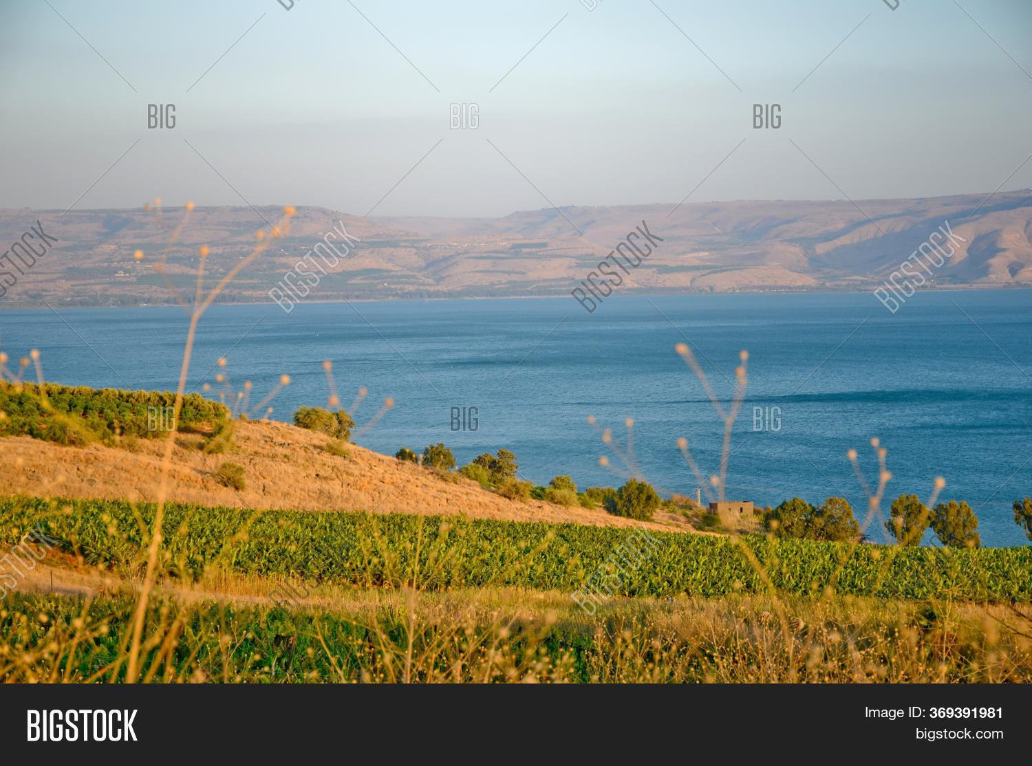 Landscape Sea Galilee Image & Photo (Free Trial) | Bigstock