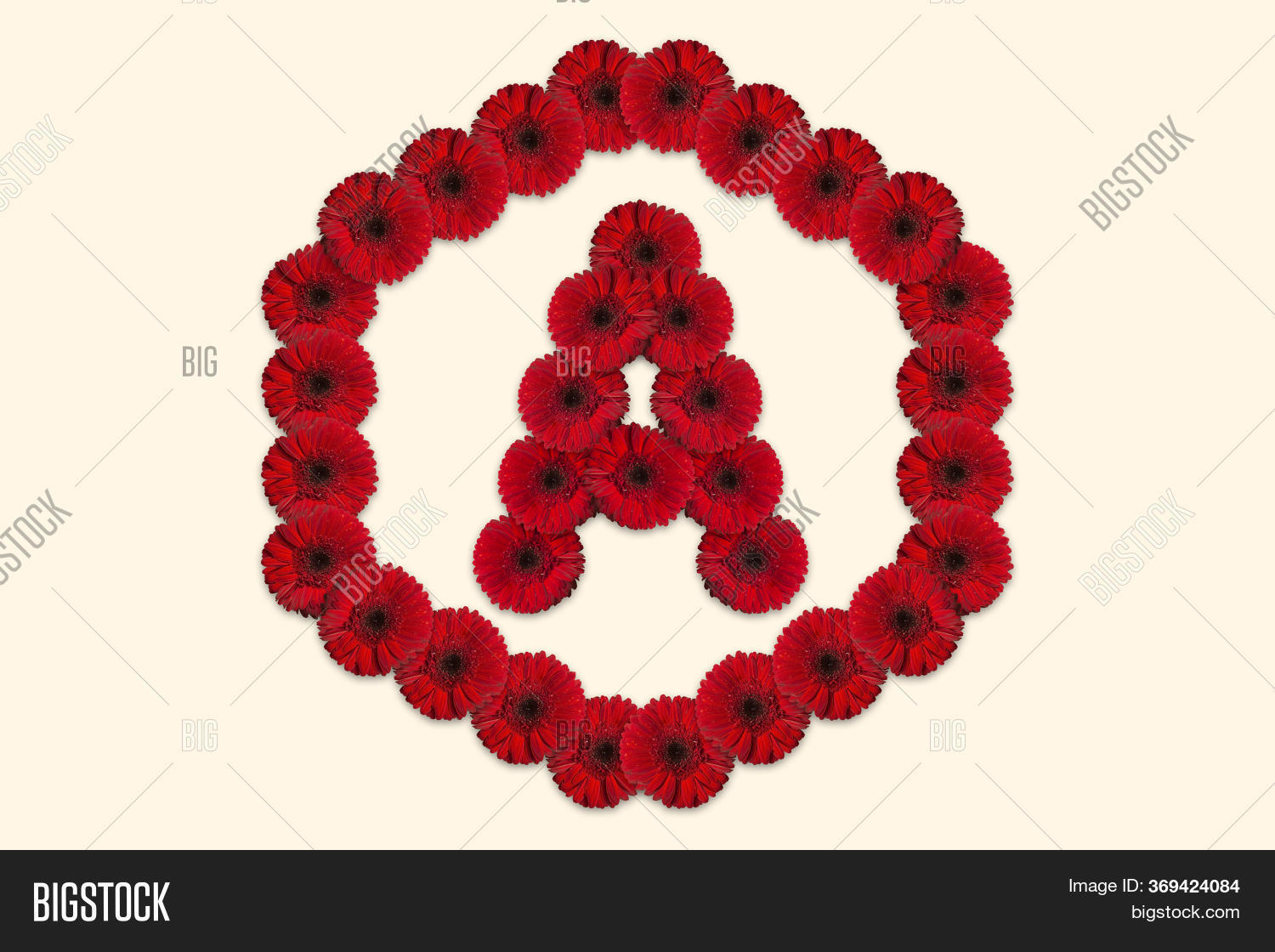Letter Daisy Flower Image & Photo (Free Trial) | Bigstock