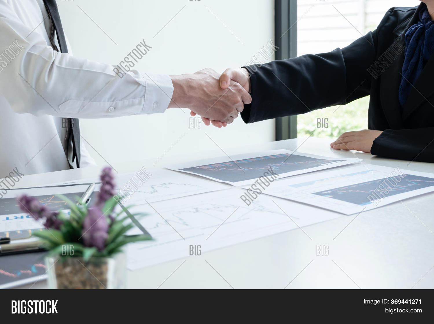 Shaking Hands, Team Image & Photo (Free Trial) | Bigstock