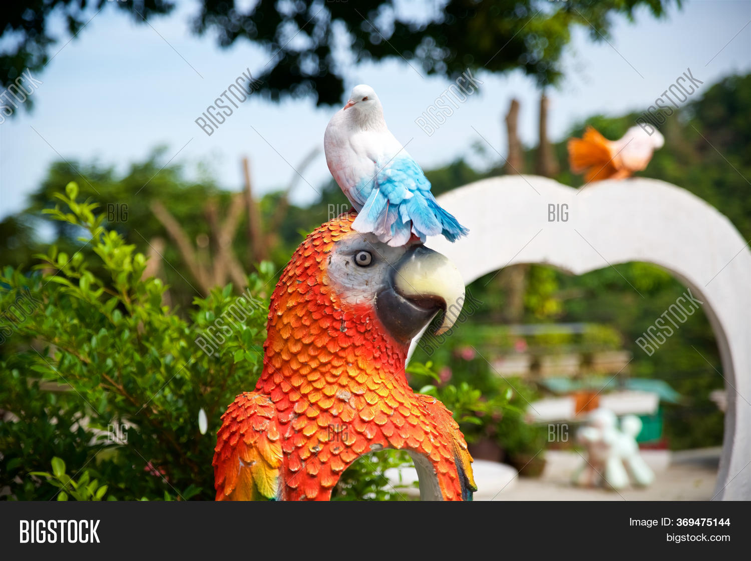 Portrait Blue Dove, Image & Photo (Free Trial) | Bigstock