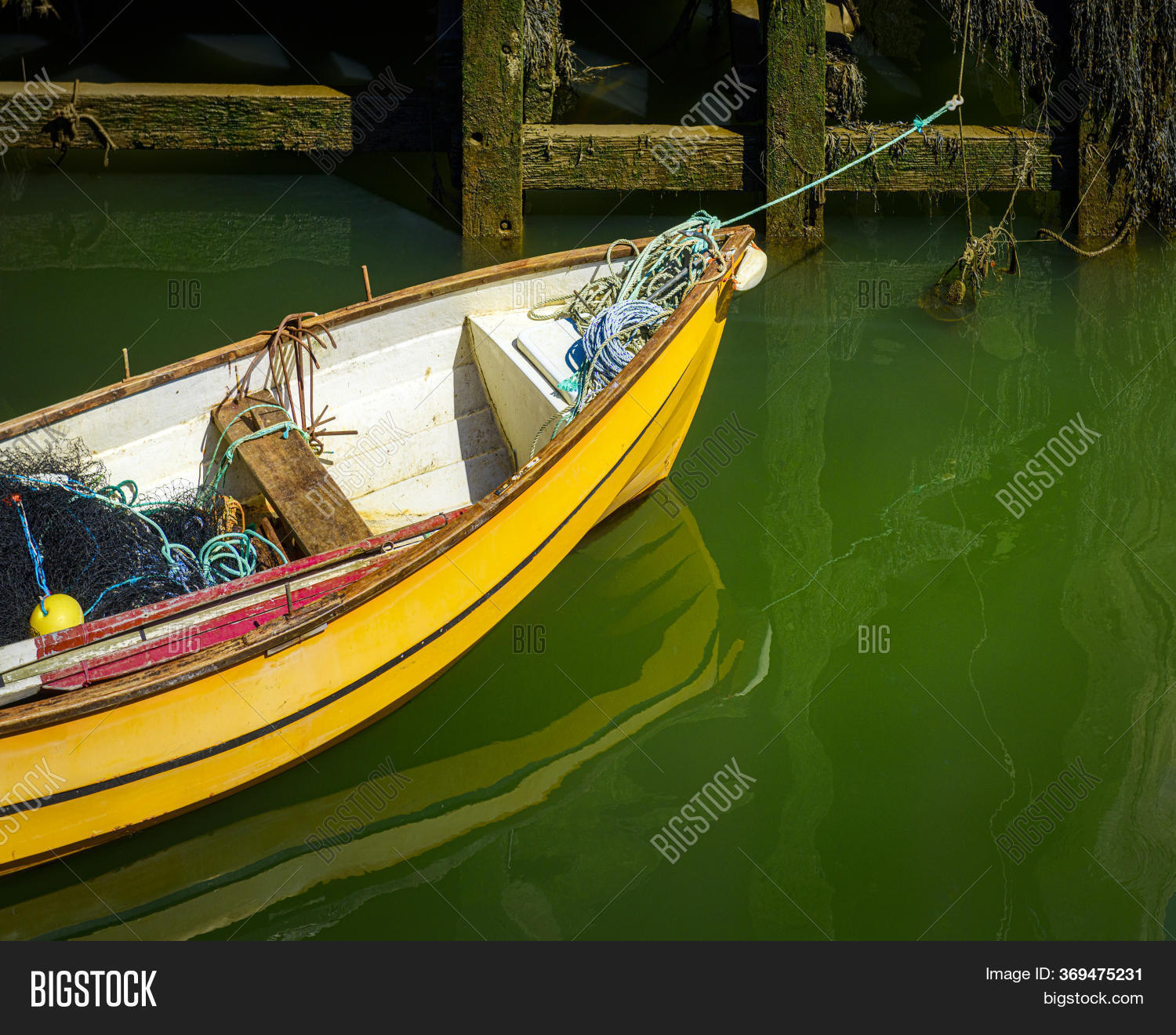 Yellow Rowing Boat Image & Photo (Free Trial) | Bigstock