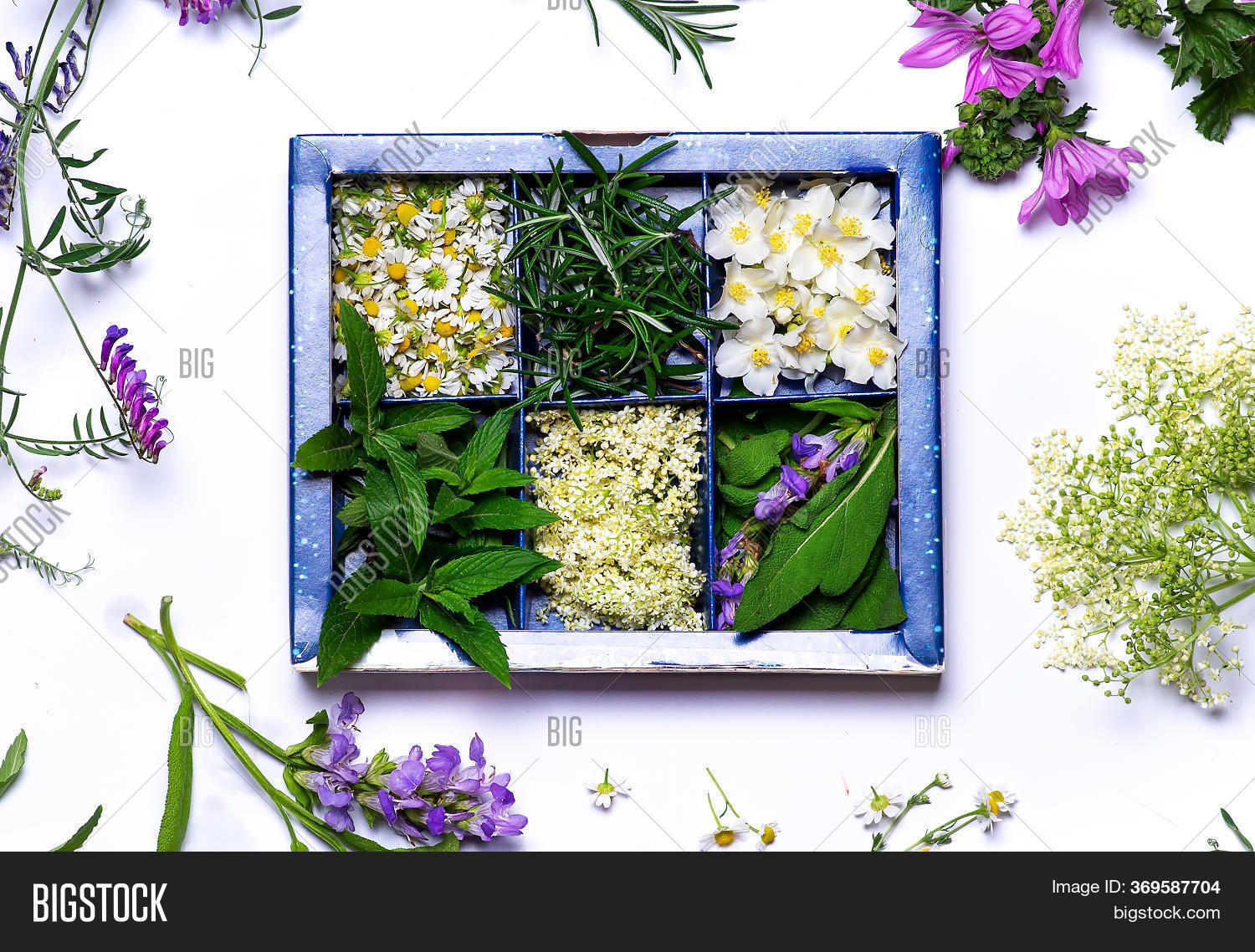 Spring Flowers Box On Image & Photo (Free Trial) | Bigstock