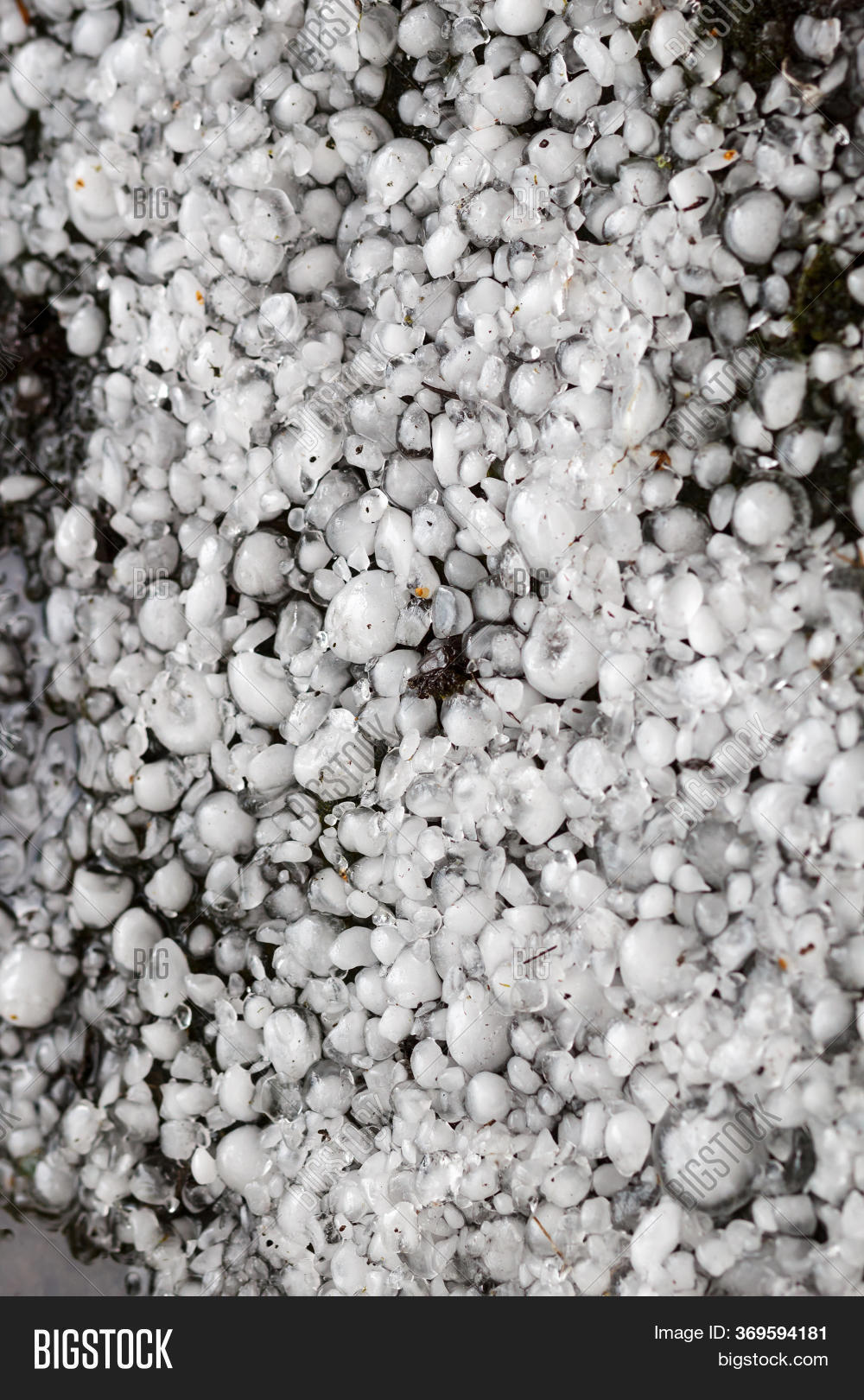 Hailstones On Ground Image & Photo (Free Trial) | Bigstock
