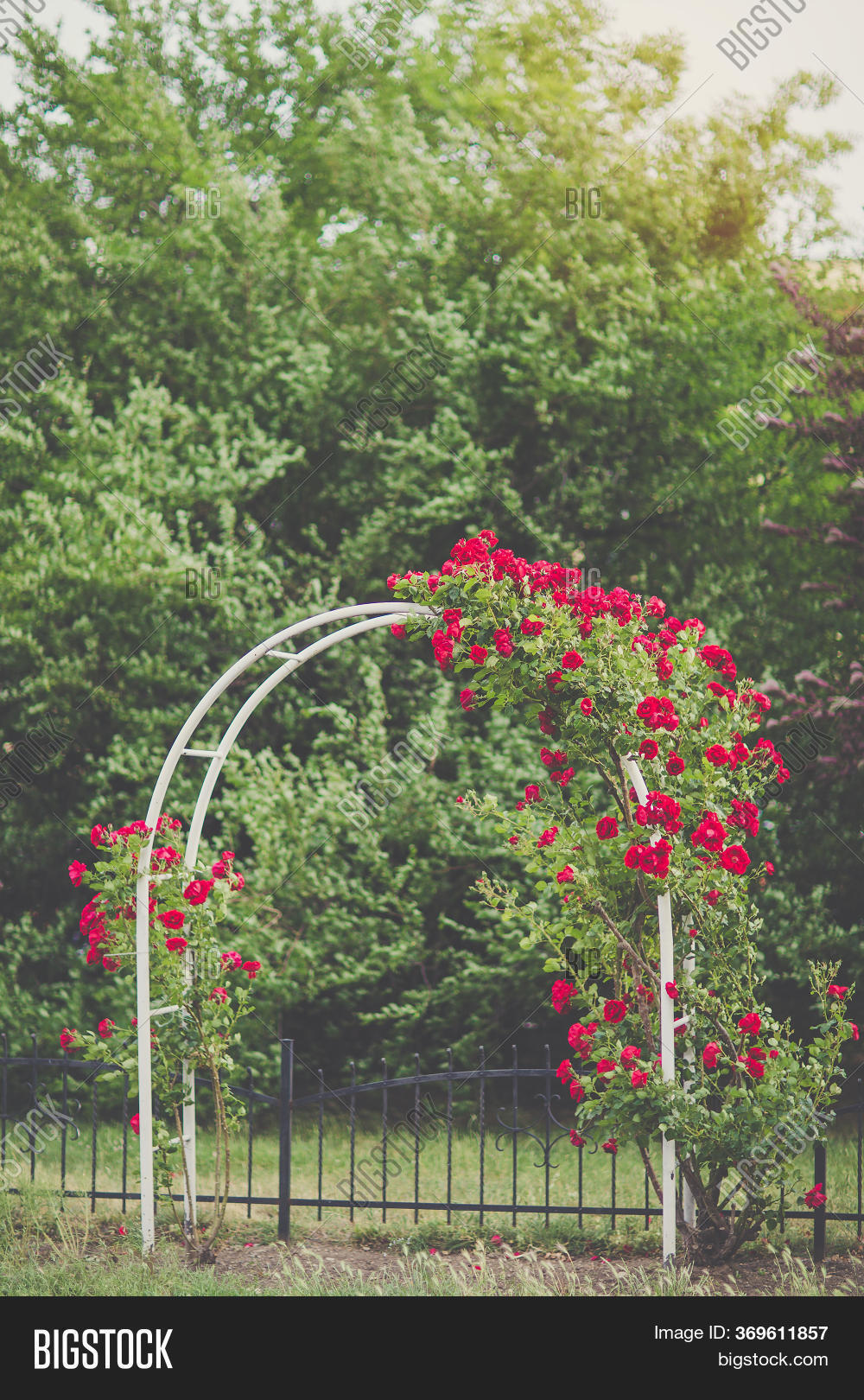 Flower Arch Blooming Image & Photo (Free Trial) | Bigstock