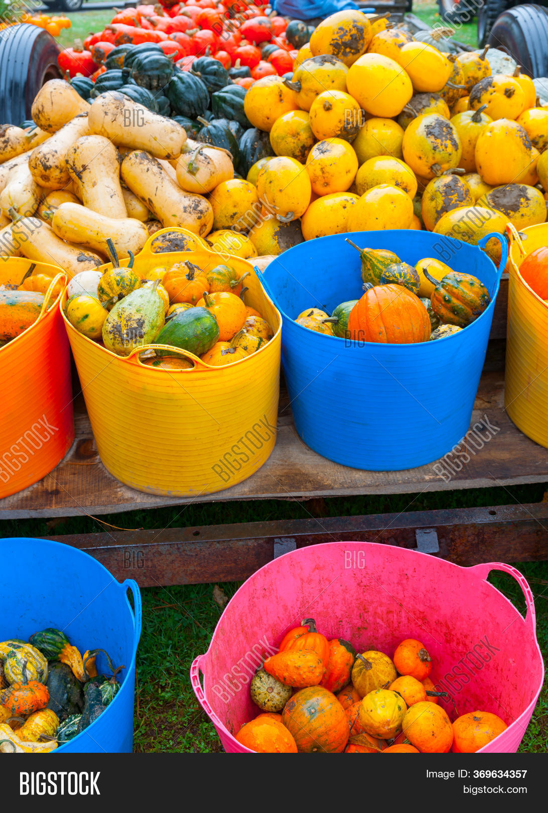 Fresh Healthy Fruit Image & Photo (Free Trial) | Bigstock
