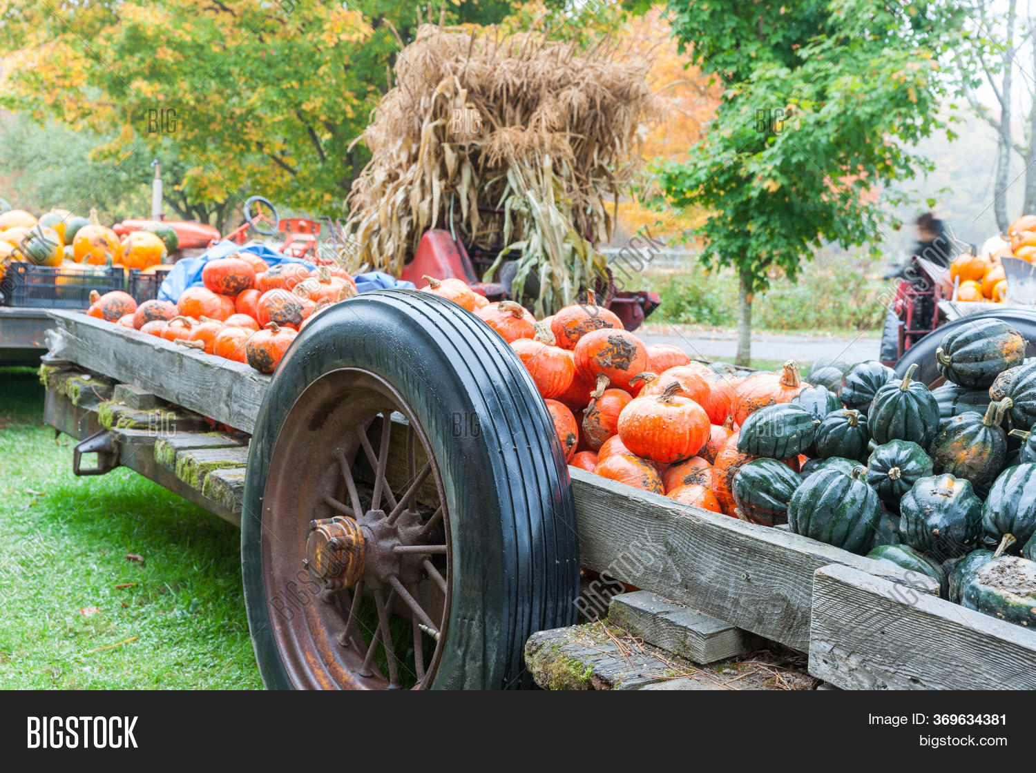 Trailers Pumpkin Image & Photo (Free Trial) | Bigstock