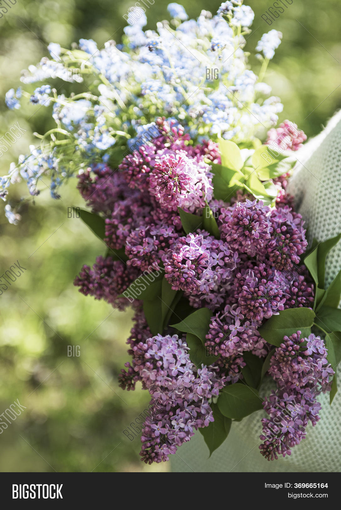 Spring Bouquet Lilacs Image & Photo (Free Trial) | Bigstock