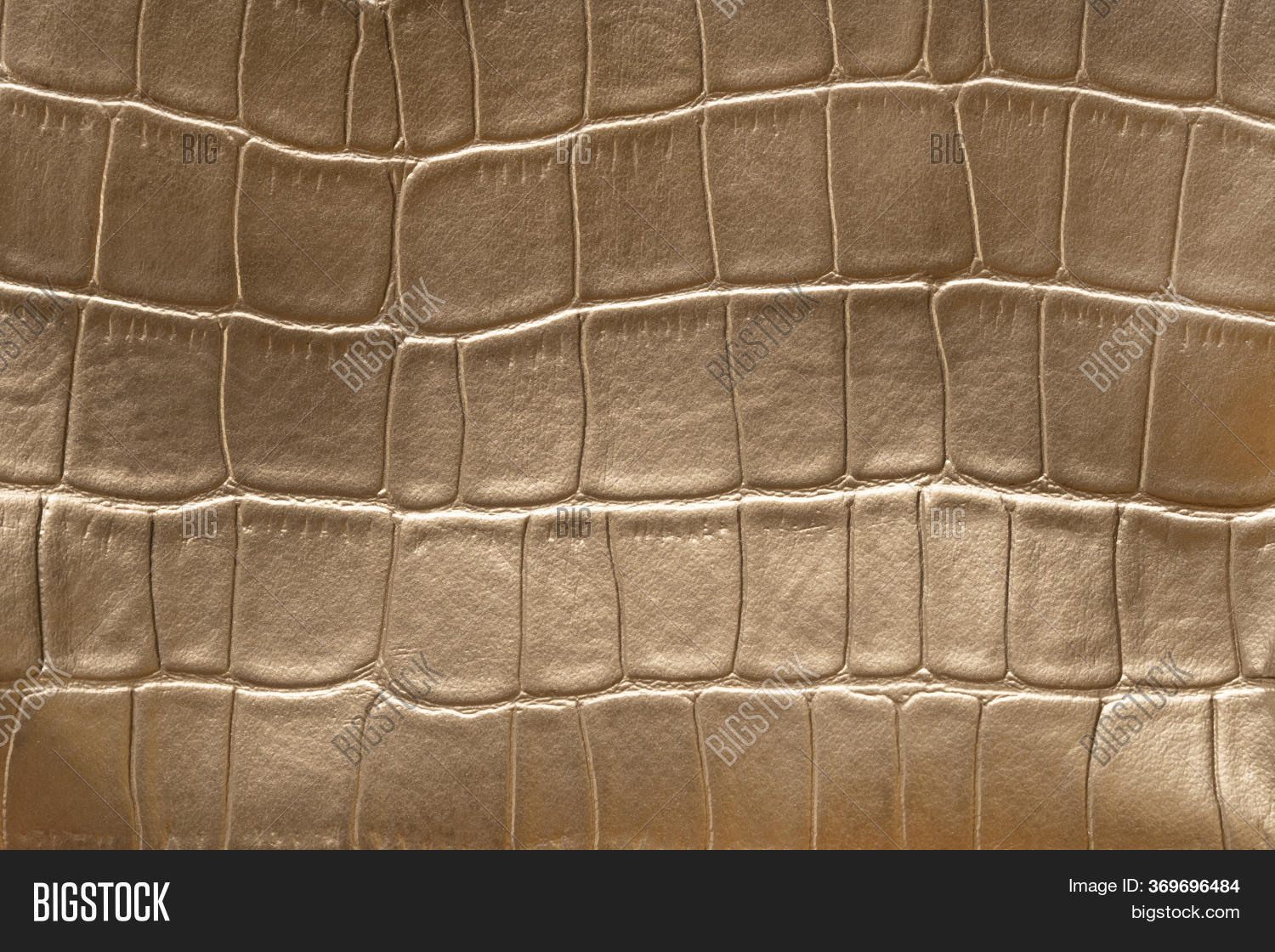 Golden Snake Skin Image & Photo (Free Trial) | Bigstock