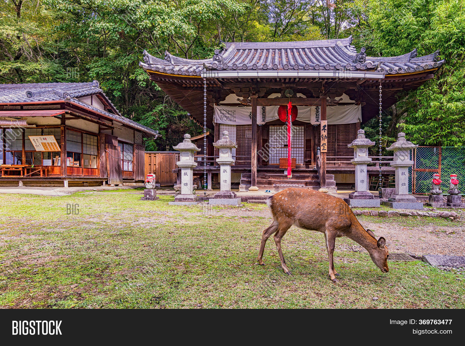 Nara / Japan - October Image & Photo (Free Trial) | Bigstock
