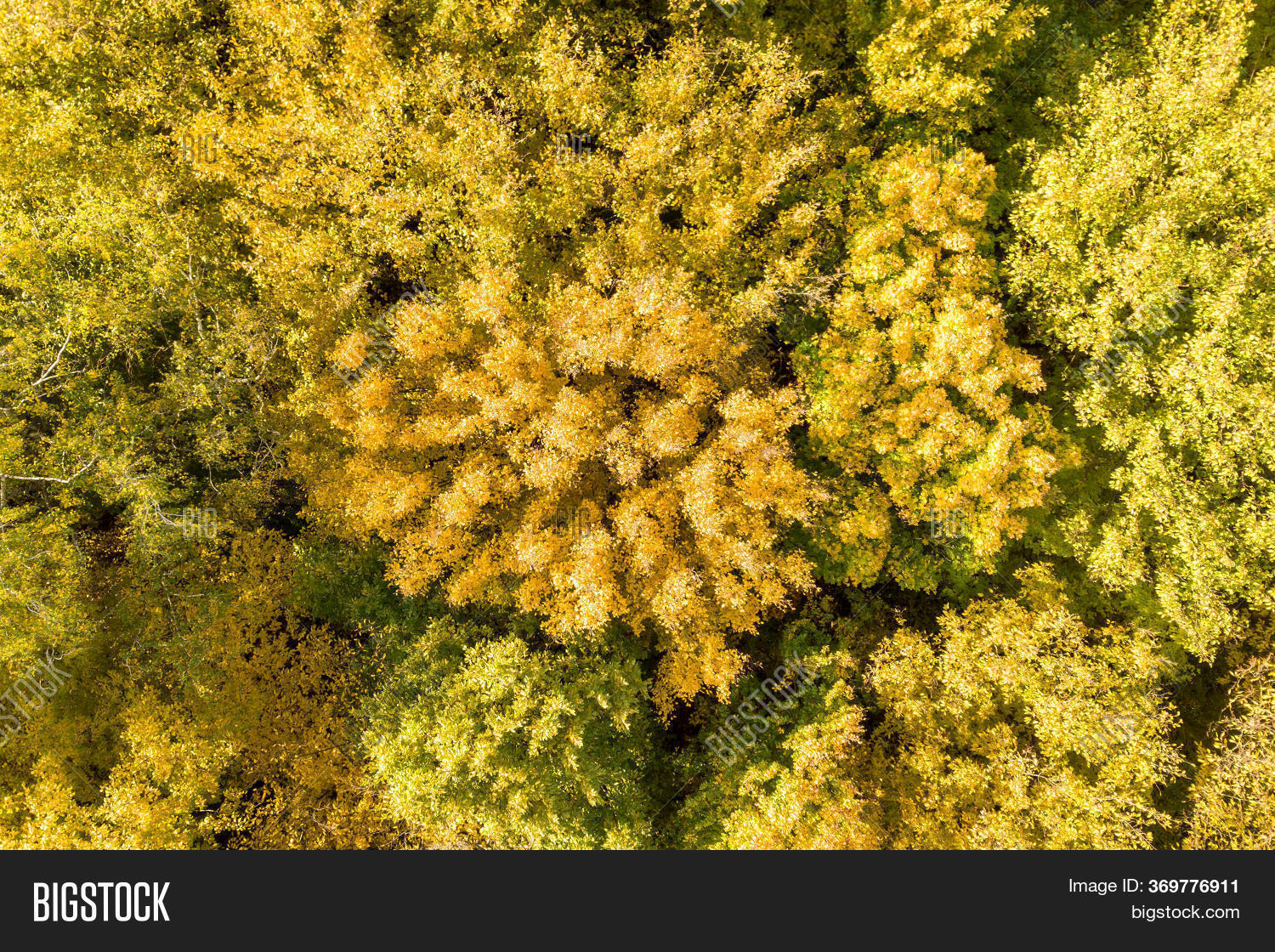 Top Down Aerial View Image & Photo (Free Trial) | Bigstock