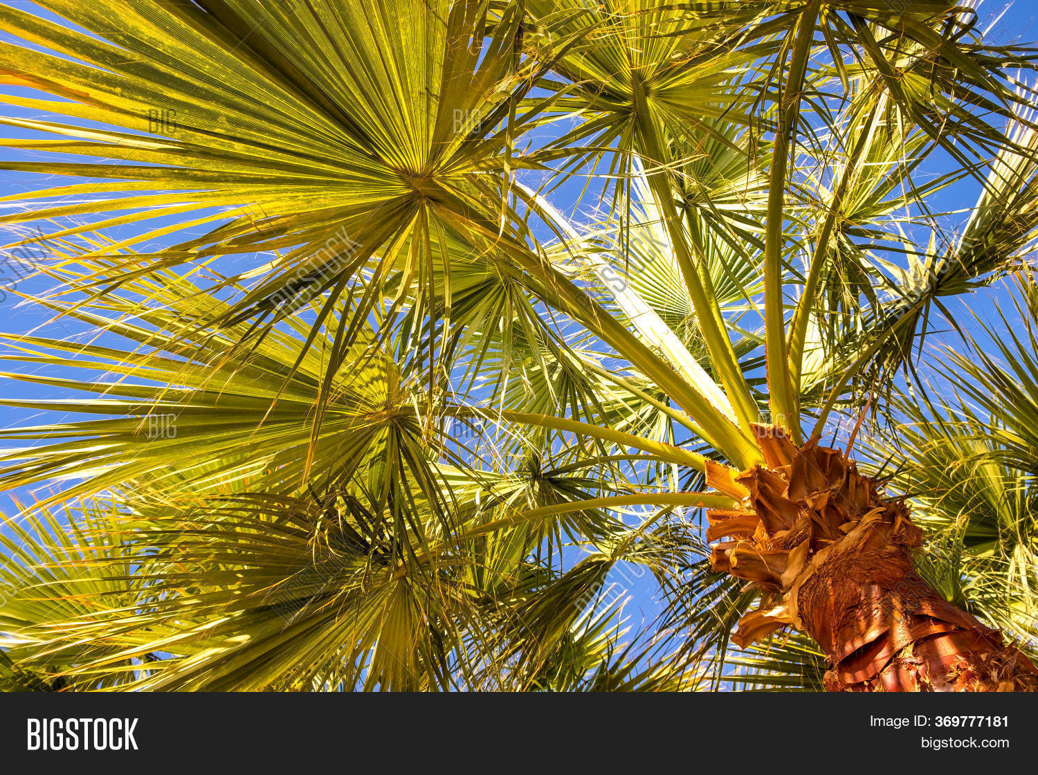 Perspective Down View Image & Photo (Free Trial) | Bigstock