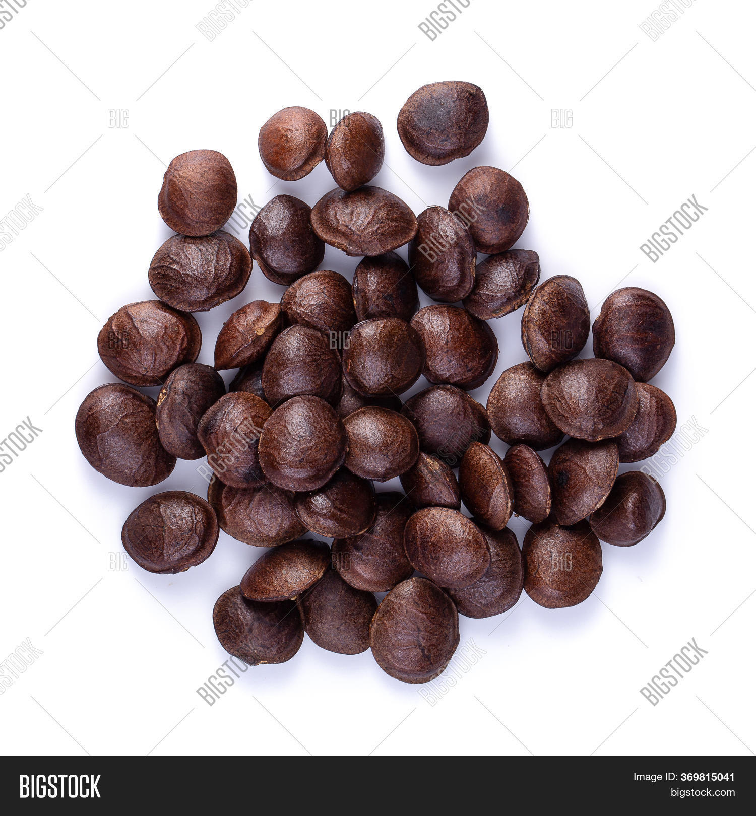 Legumes Sacha Inchi Image & Photo (Free Trial) | Bigstock