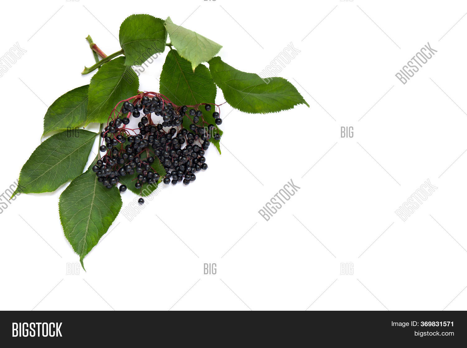 Cluster Fruits Black Image & Photo (Free Trial) | Bigstock