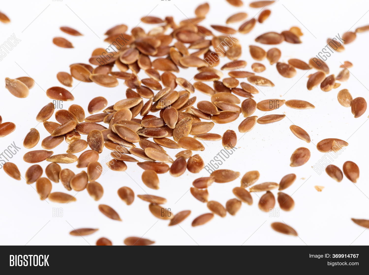 Linseed Organic Seeds Image & Photo (Free Trial) | Bigstock
